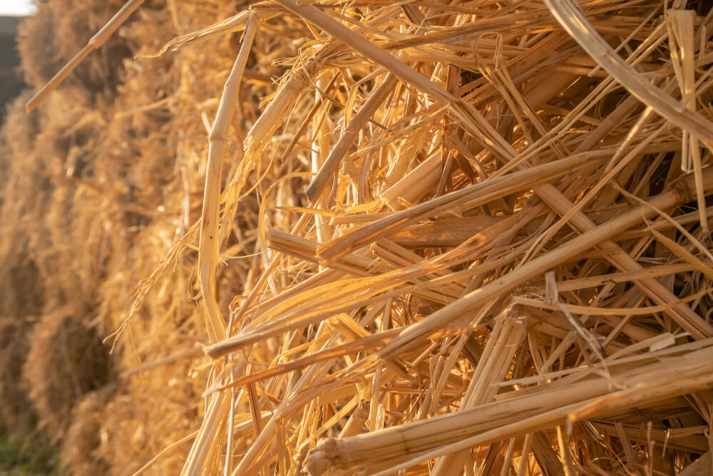 #170 | Nationwide unveils HAYTECH, the hands-free hay monitoring for U ...